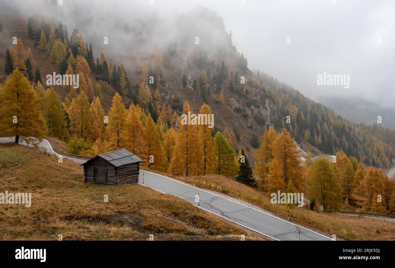 Autumn landscape in the forest. wooden log cabin at the valley. Yellow ...