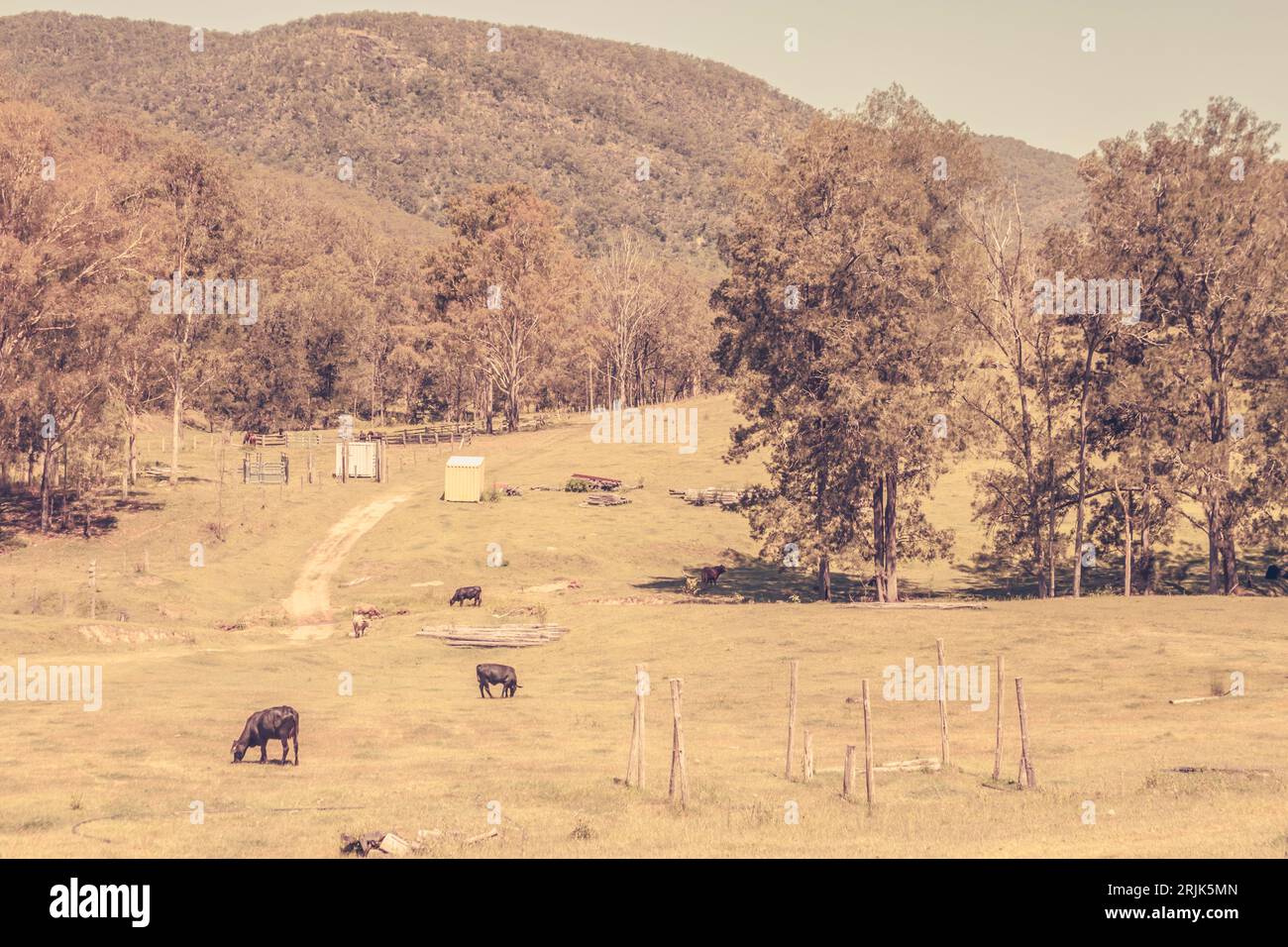 Rustic ranching in a harmonious view of weathered farming with farm ...