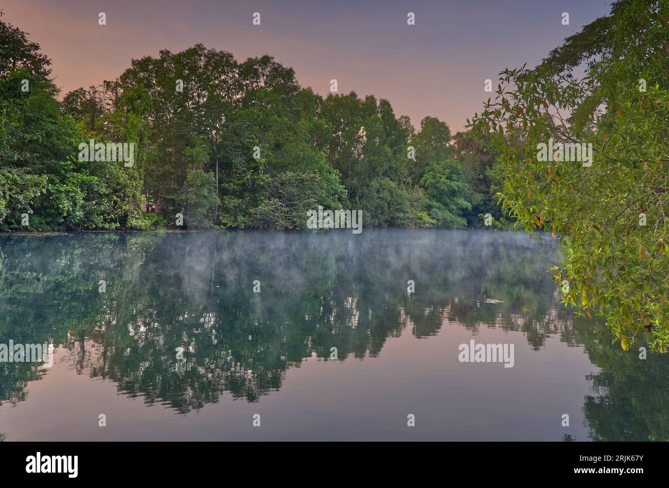 Mist rising off lake pre-dawn at Howard Springs, Darwin, Northern ...
