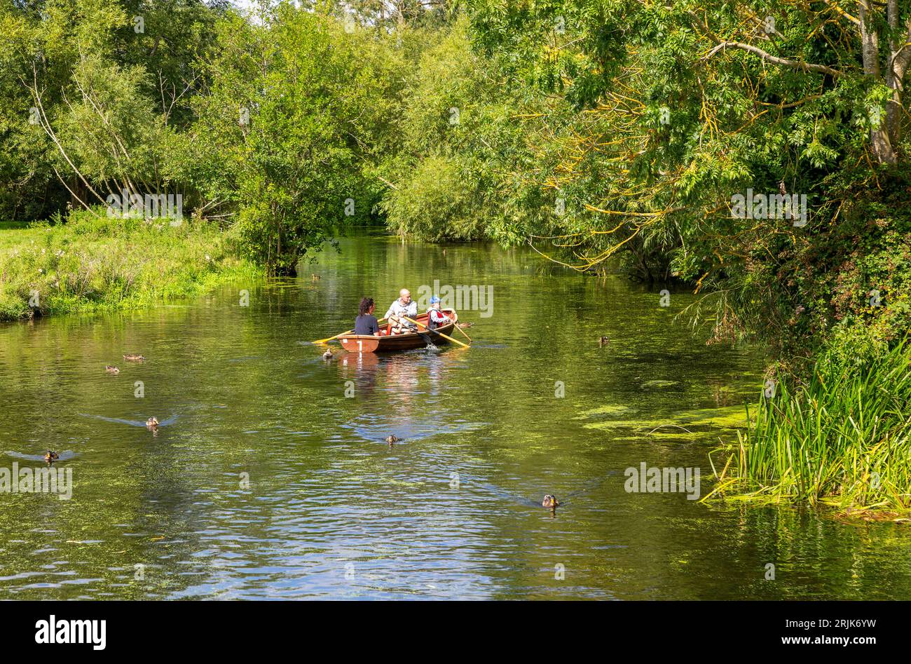 People rowing on River Stour, Dedham Vale, East Bergholt, Suffolk ...