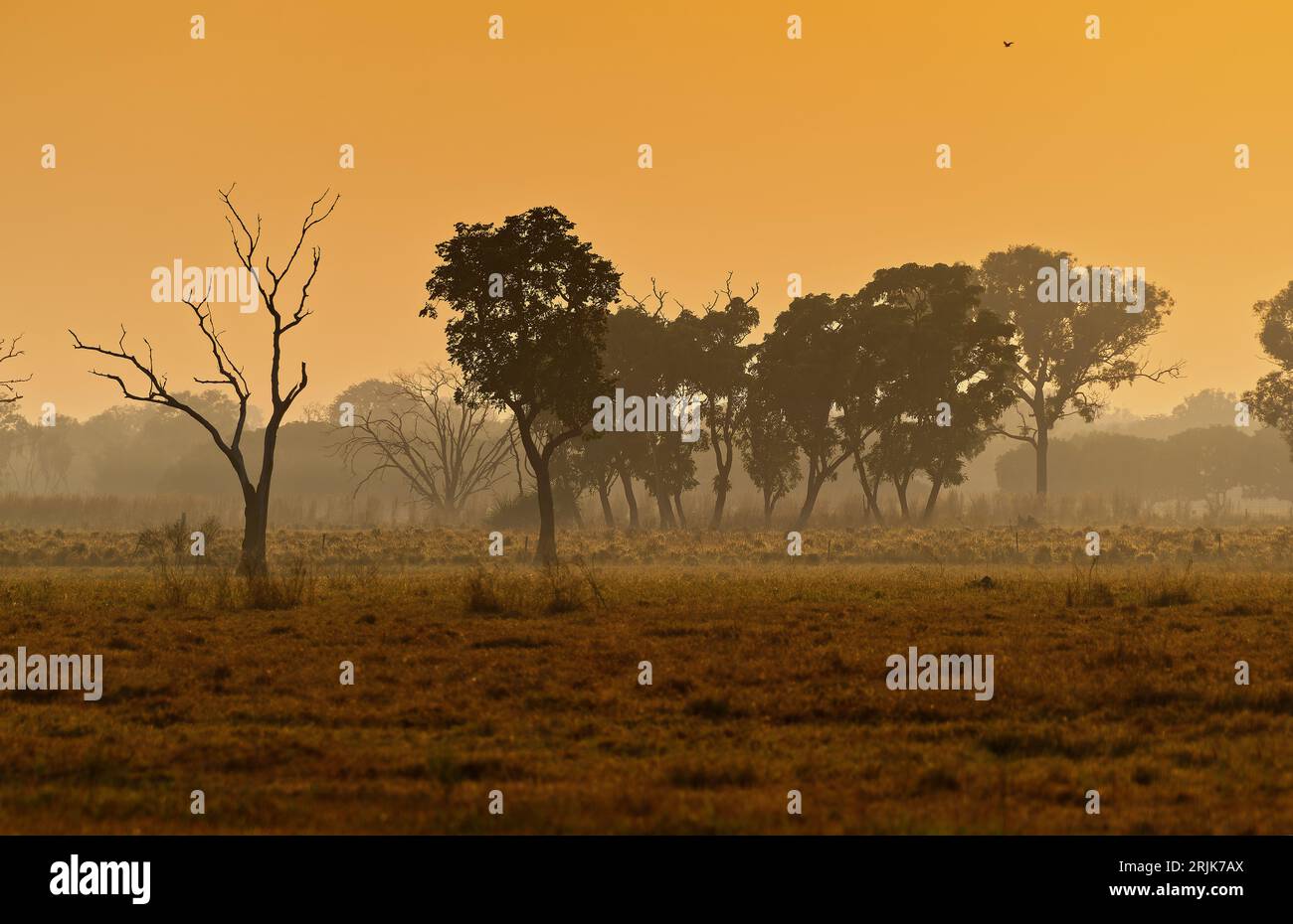 Deforestation australia hi-res stock photography and images - Alamy