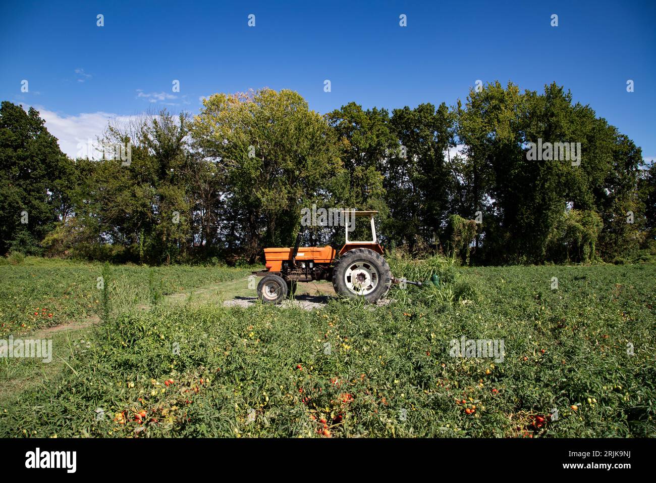 Old tractor farm wagon hi-res stock photography and images - Alamy