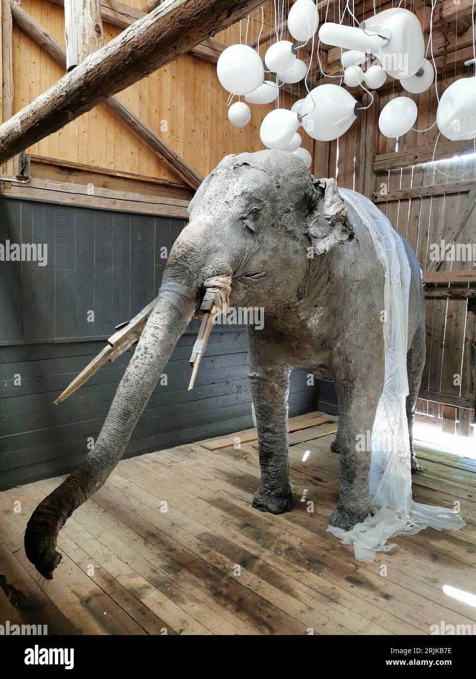 Unexpected art hi-res stock photography and images - Alamy