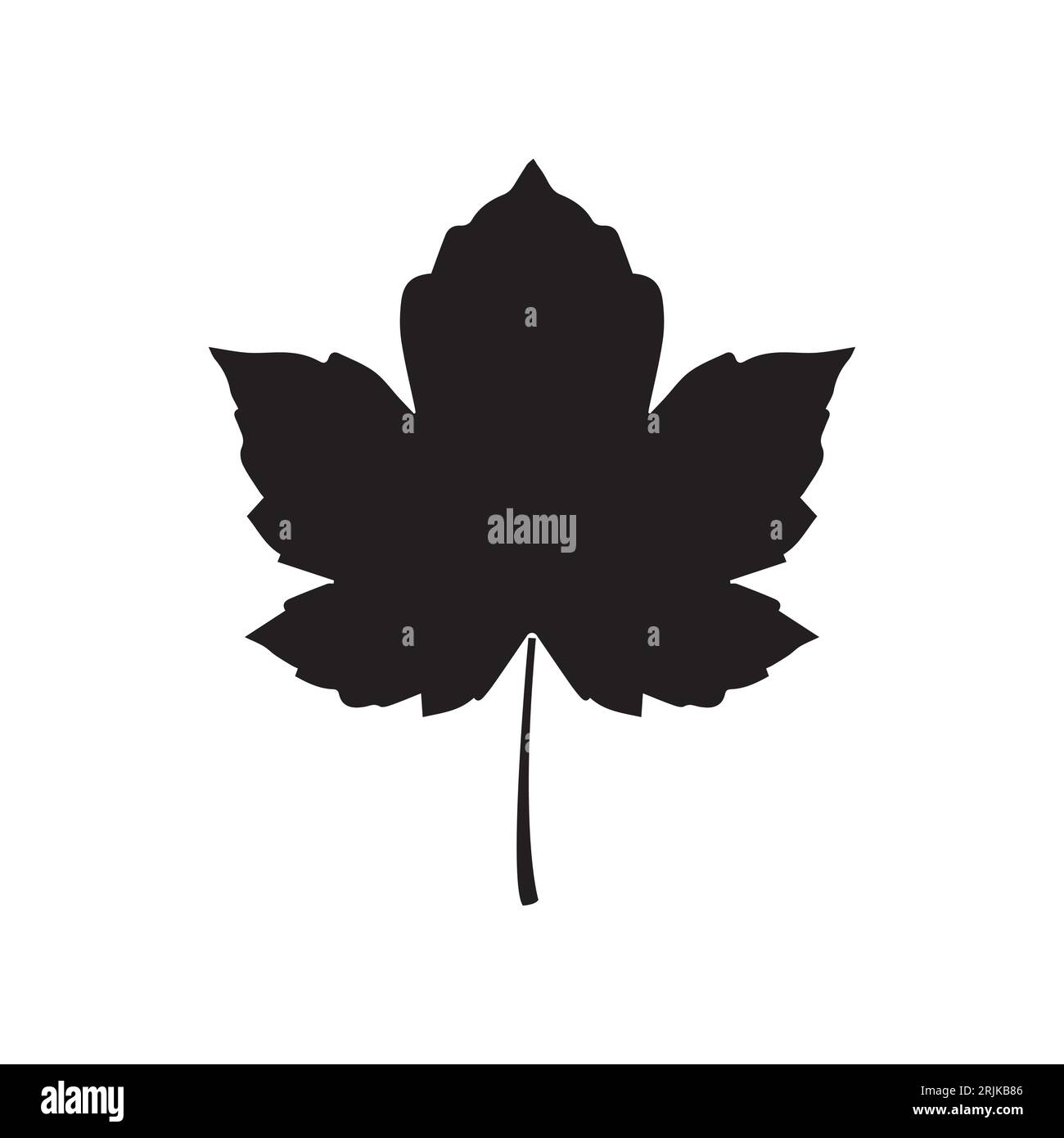 Autumn leaves banner isolated leaf Black and White Stock Photos ...