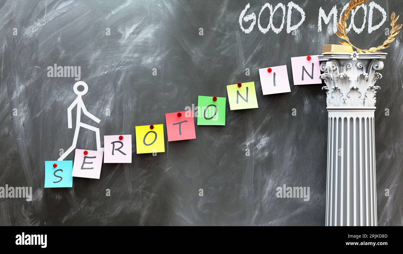 Serotonin leads to Good mood - a metaphor showing how serotonin makes ...