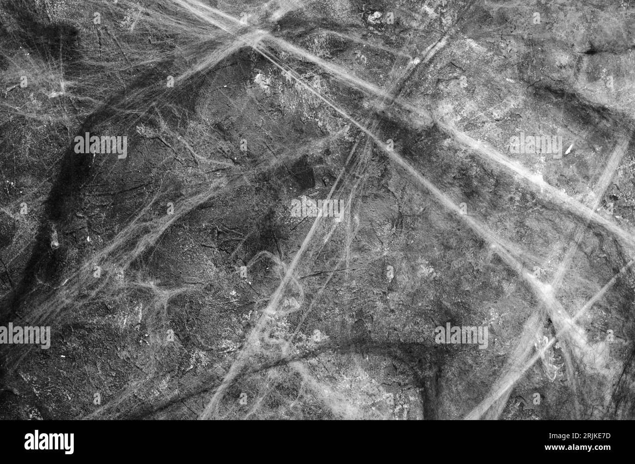 Cobweb on Black Background, Abstract Texture, Halloween Design, Spider ...