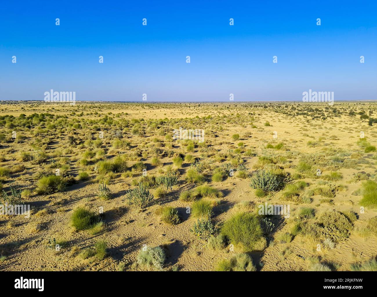 Thars uniqueness hi-res stock photography and images - Alamy