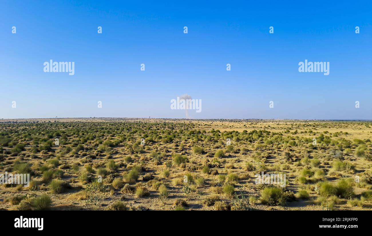 isolated desert landscape with small wild bush and bright blue sky at ...