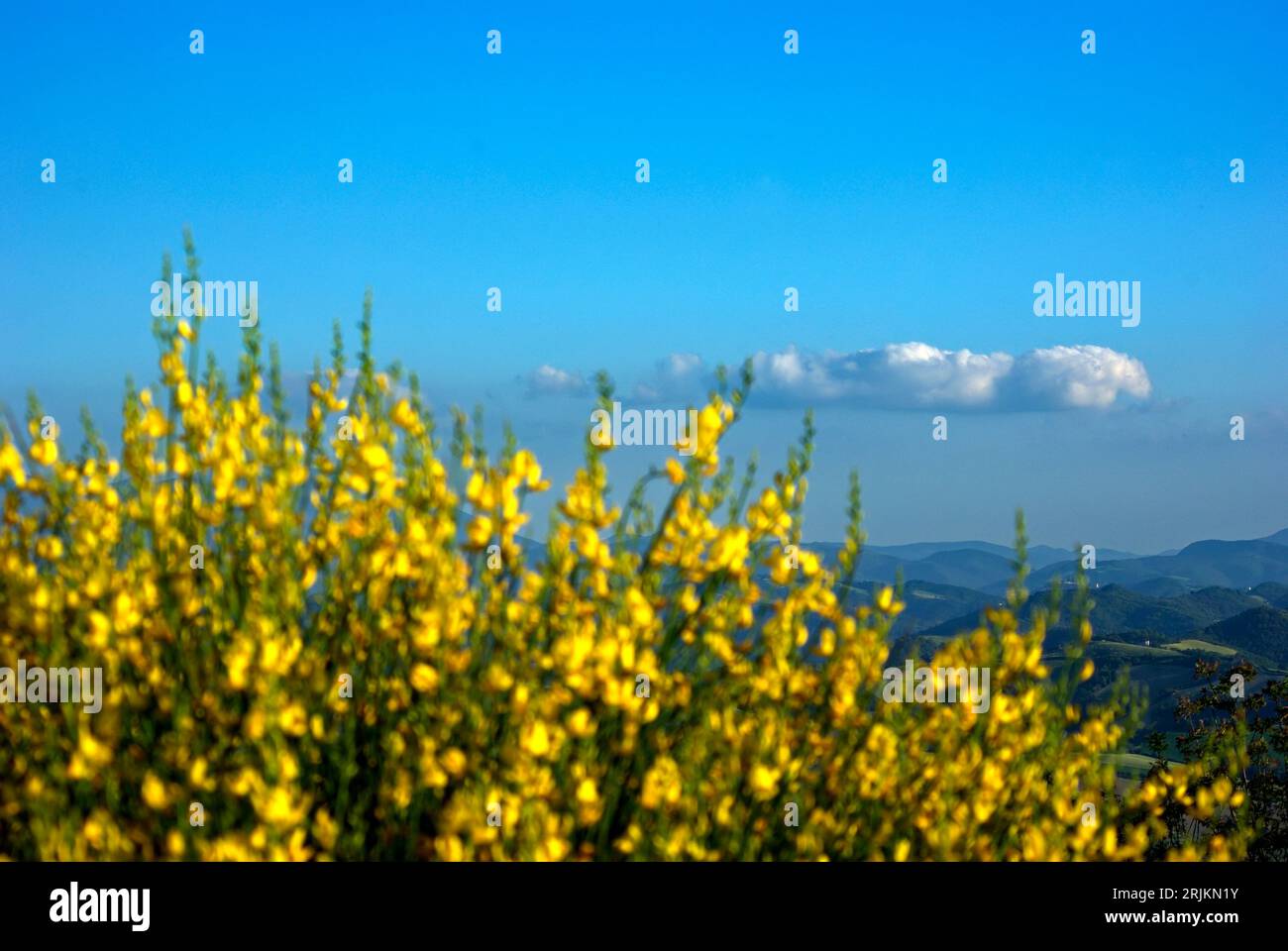 Primo piano nuvola hi-res stock photography and images - Alamy