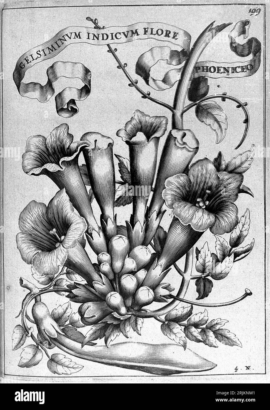 Flower production floriculture Black and White Stock Photos & Images ...