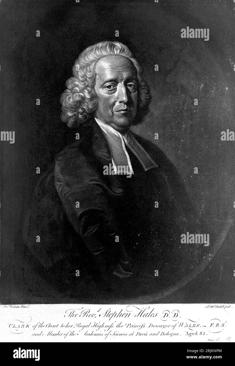 Significant plant Black and White Stock Photos & Images - Alamy