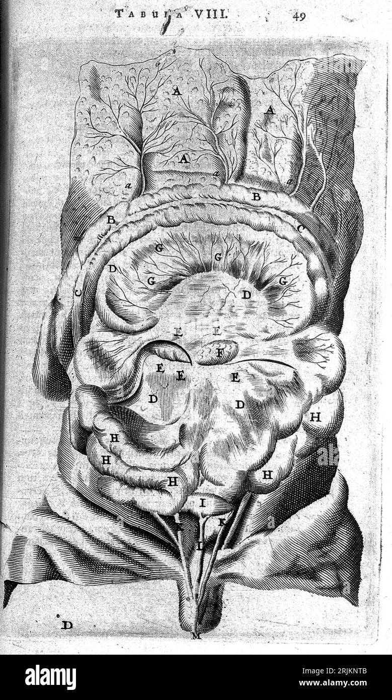 Omental Black and White Stock Photos & Images - Alamy