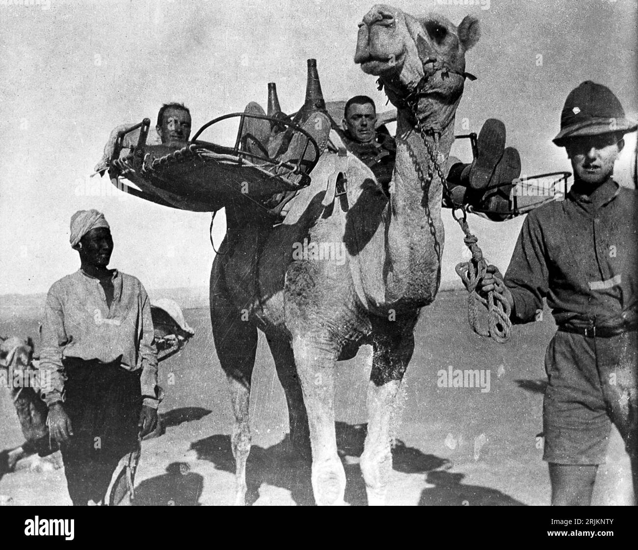 Australian troop transport hi-res stock photography and images - Alamy