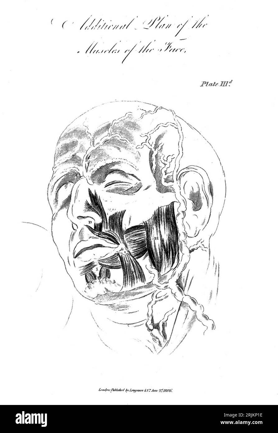 Given shape Cut Out Stock Images & Pictures - Alamy