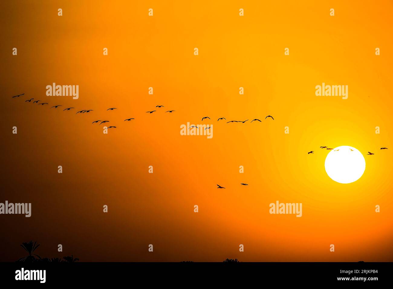 Nile fire hi-res stock photography and images - Alamy