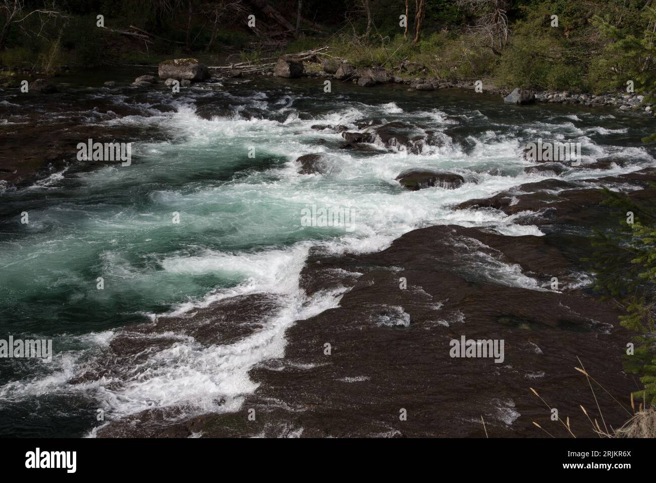 Stamp River is a major salmon water at Vancouver Island in Canada Stock ...