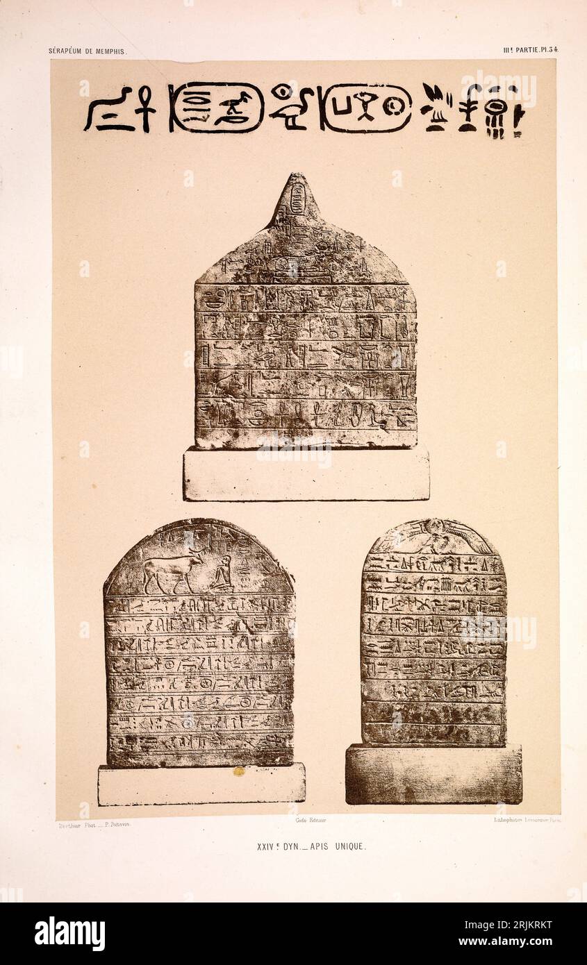 XXIVe dyn[astie]: Apis Unique. Mariette, Auguste, 1821-1881 (Author ...