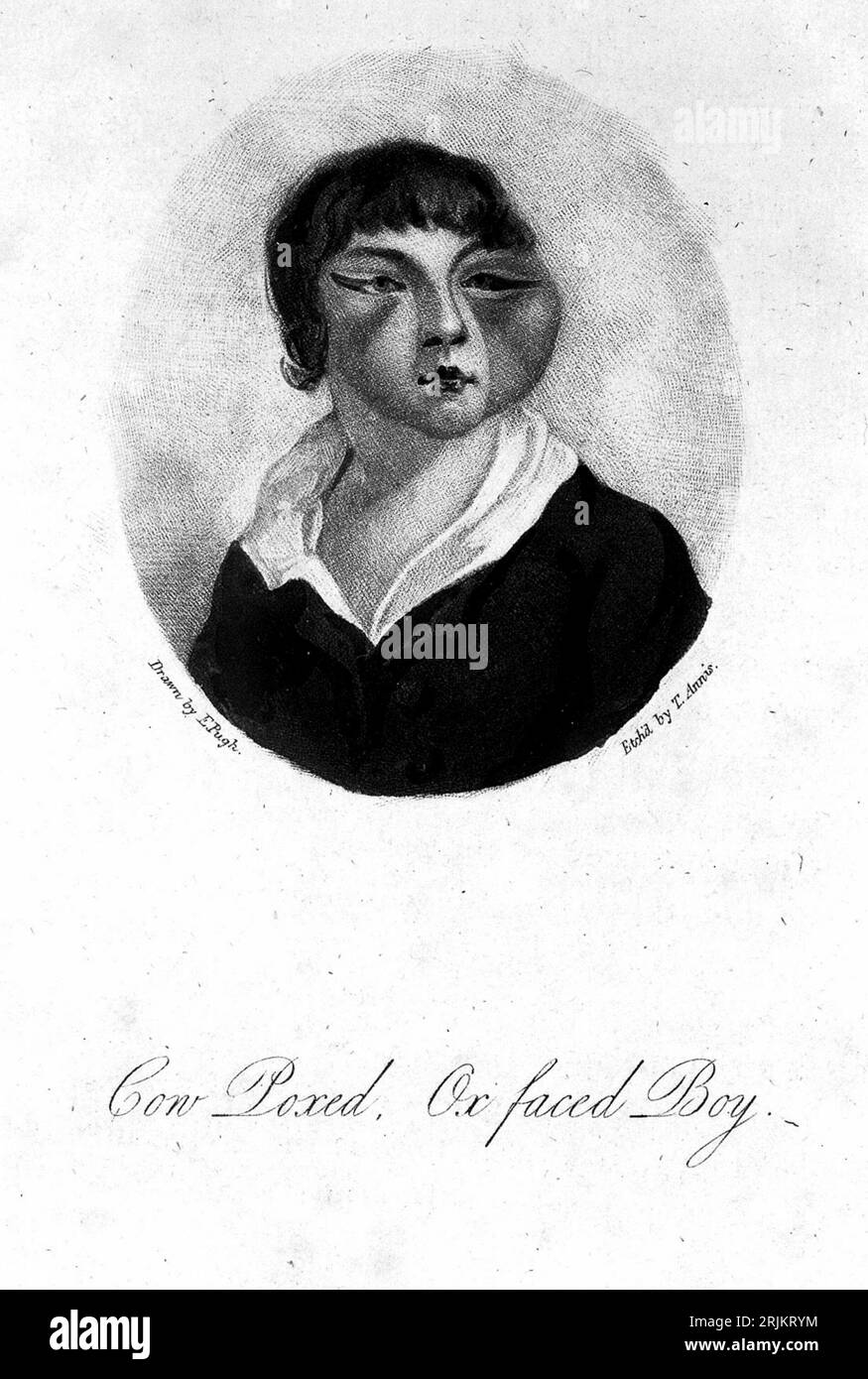 Human cow Black and White Stock Photos & Images - Alamy