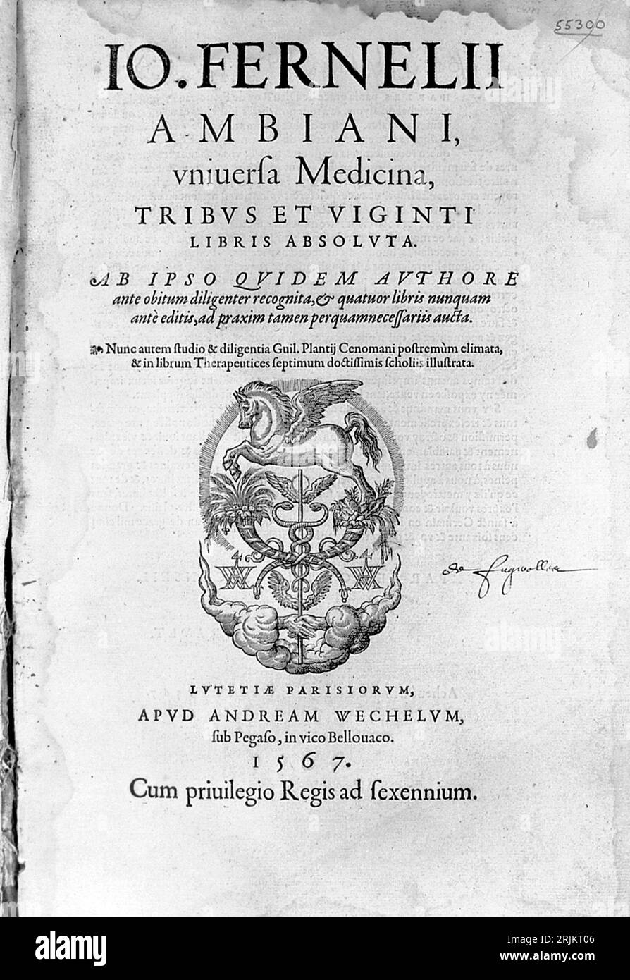 Physiology of vision hi-res stock photography and images - Alamy