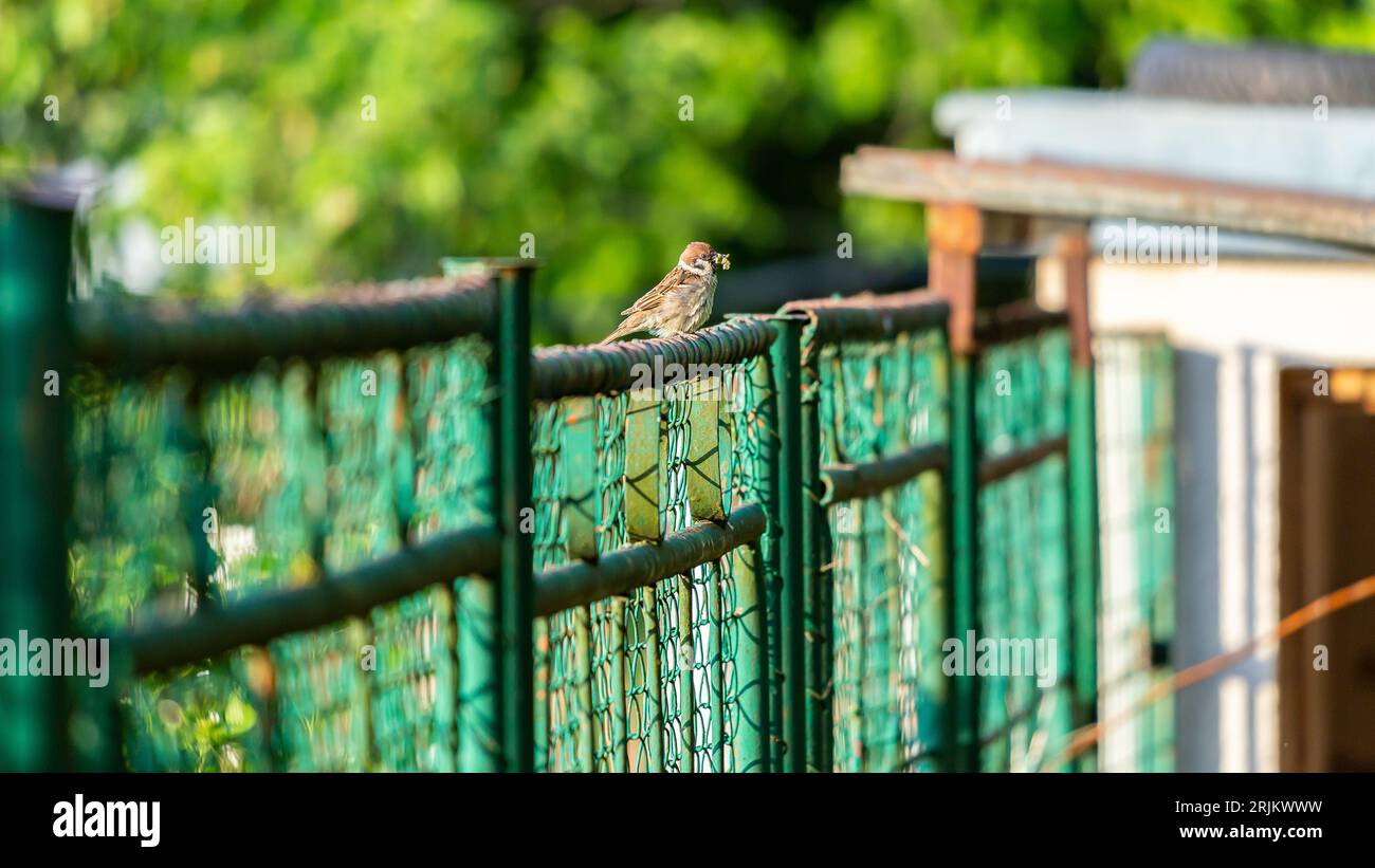 Wire bonding hi-res stock photography and images - Alamy