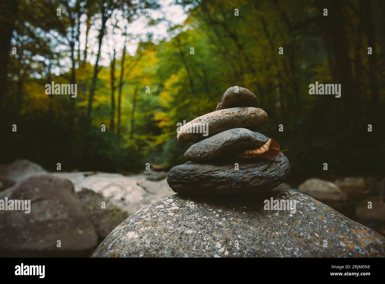 Small stack rocks in forest hi-res stock photography and images - Alamy