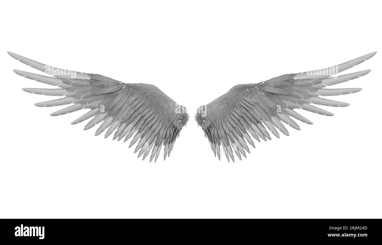 White Angel Wings Isolated Stock Photo - Alamy