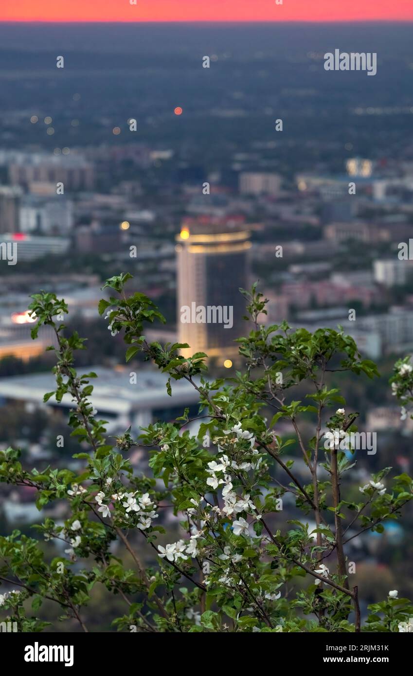 Symbol almaty hi-res stock photography and images - Alamy