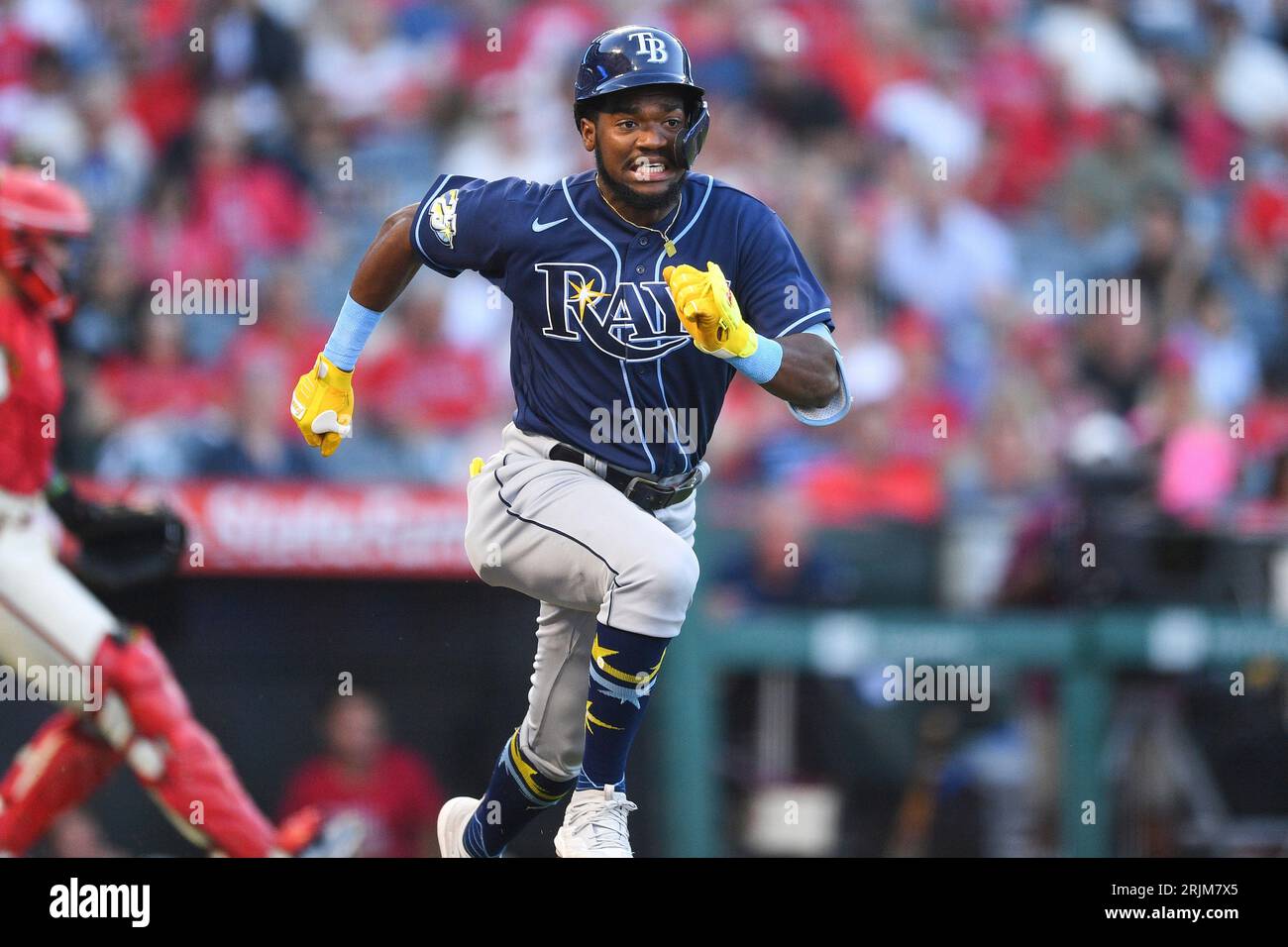 ANAHEIM, CA - AUGUST 18: Tampa Bay Rays shortstop Osleivis Basabe (37 ...