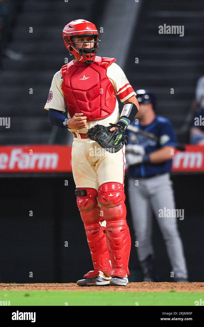ANAHEIM, CA - AUGUST 18: Los Angeles Angels catcher Logan O'Hoppe (14 ...