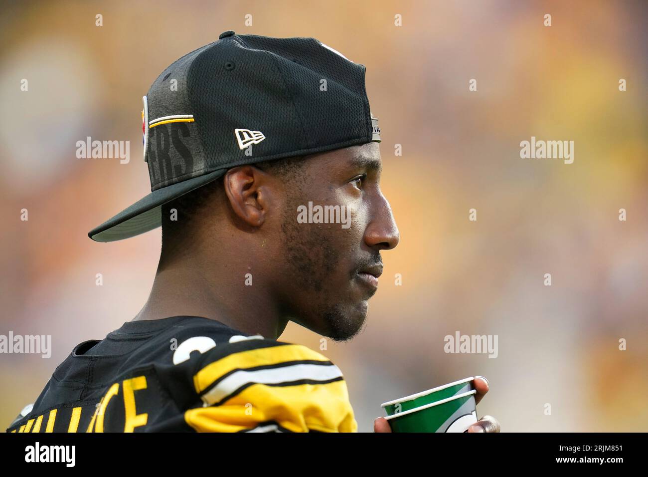 Pittsburgh Steelers cornerback Levi Wallace (29) stands on the ...