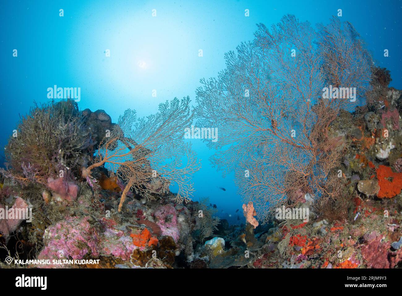 A beautiful shot of a seascape featuring a deep blue ocean, with the ...