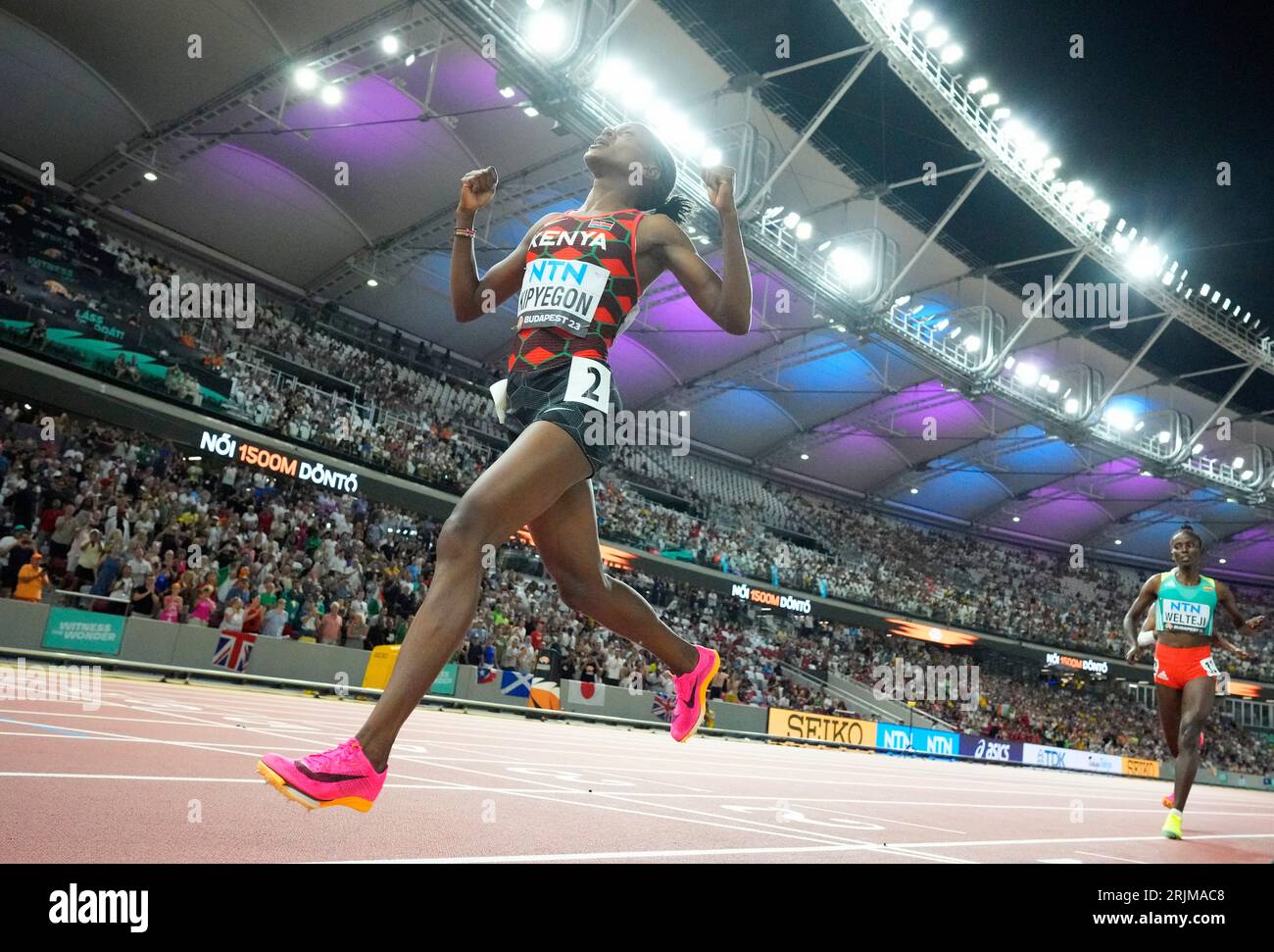 Faith Kipyegon, of Kenya celebrates winning the gold medal in the Women ...