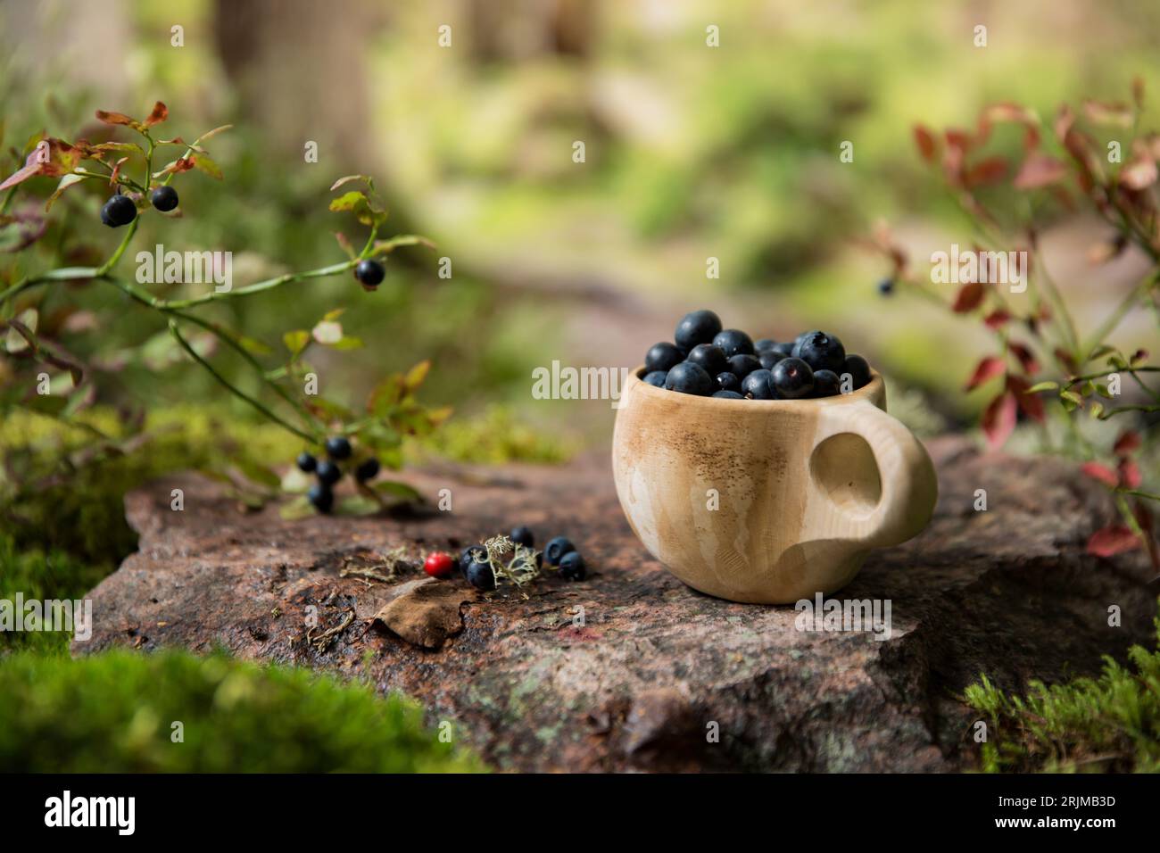 Beautiful bunch of fresh blueberries hi-res stock photography and ...