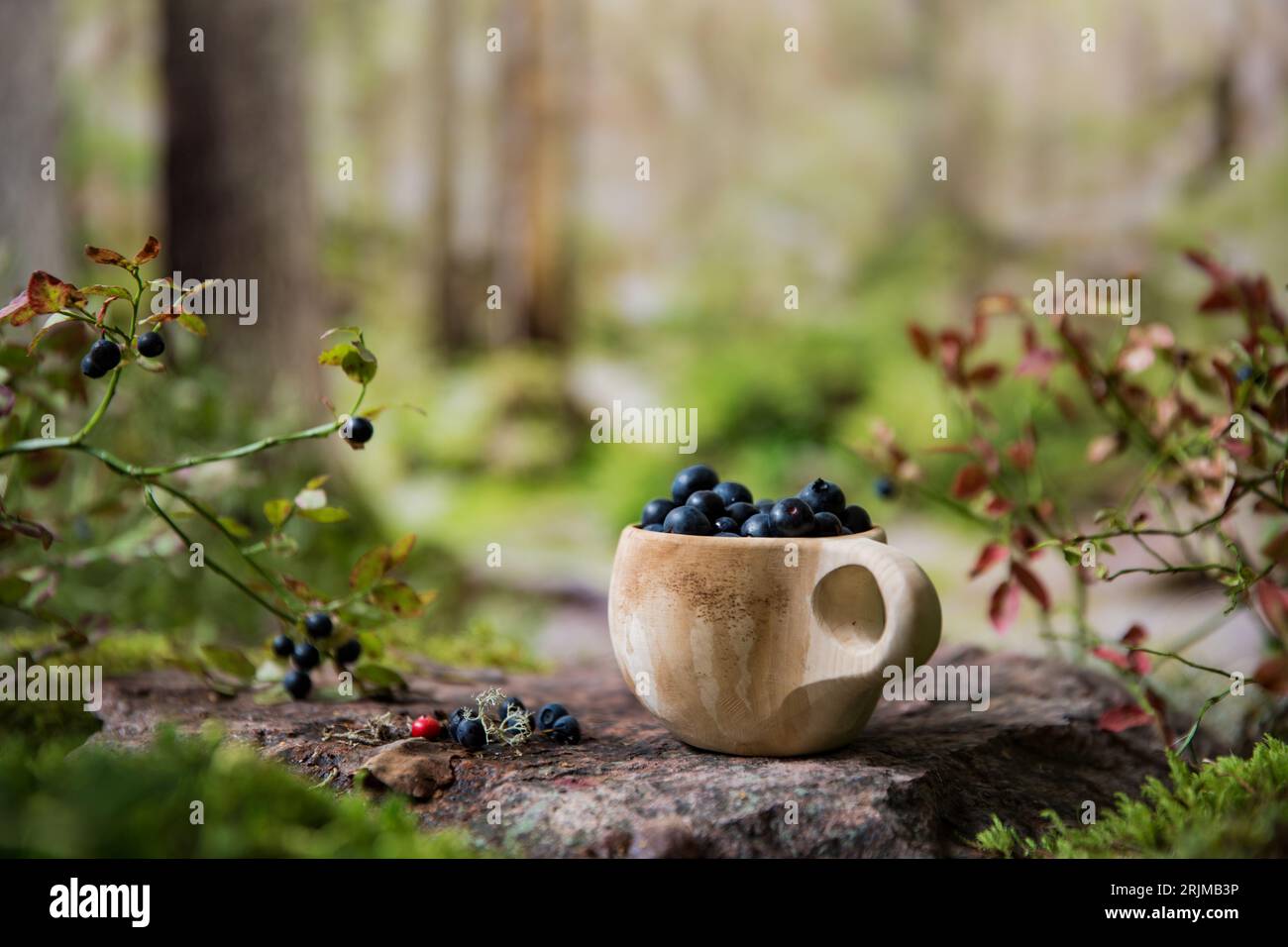 Traditional Finnish wooden cup kuksa filled with blueberries, against ...