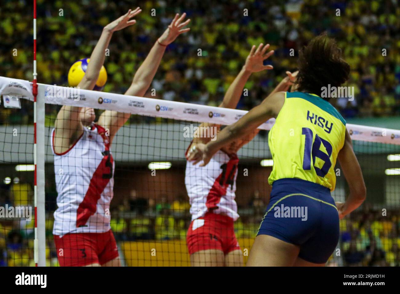 PE - RECIFE - 08/22/2023 - SUL-AMERICAN DE VOLEI FEMININO 2023, BRAZIL ...