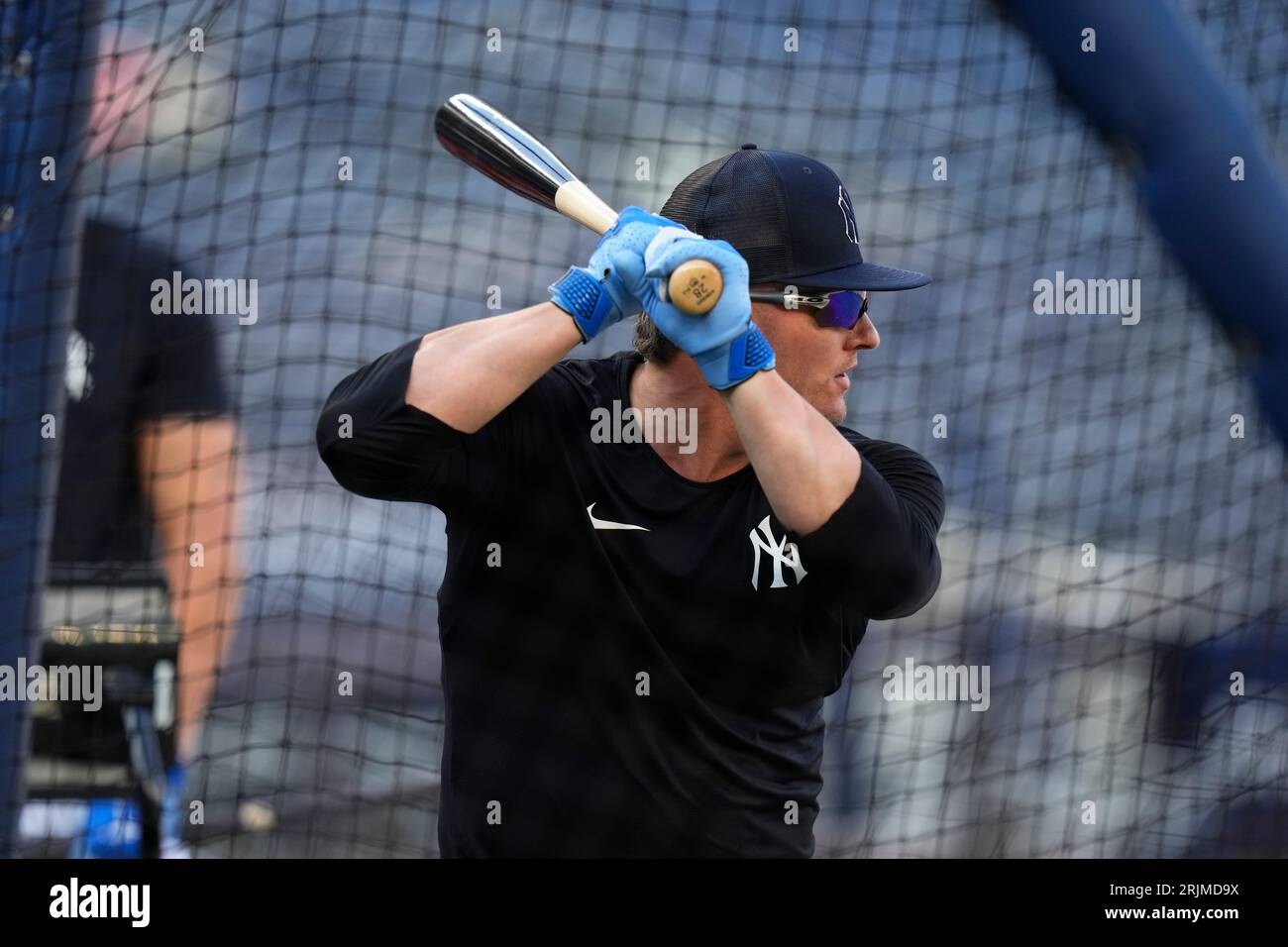 New York Yankees Josh Donaldson takes batting practice before a ...
