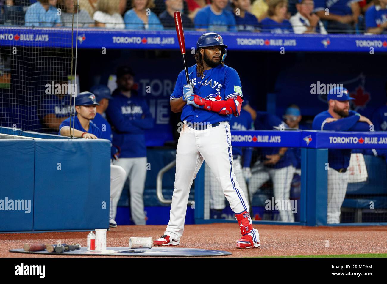 TORONTO, ON - AUGUST 01: Toronto Blue Jays first baseman Vladimir ...