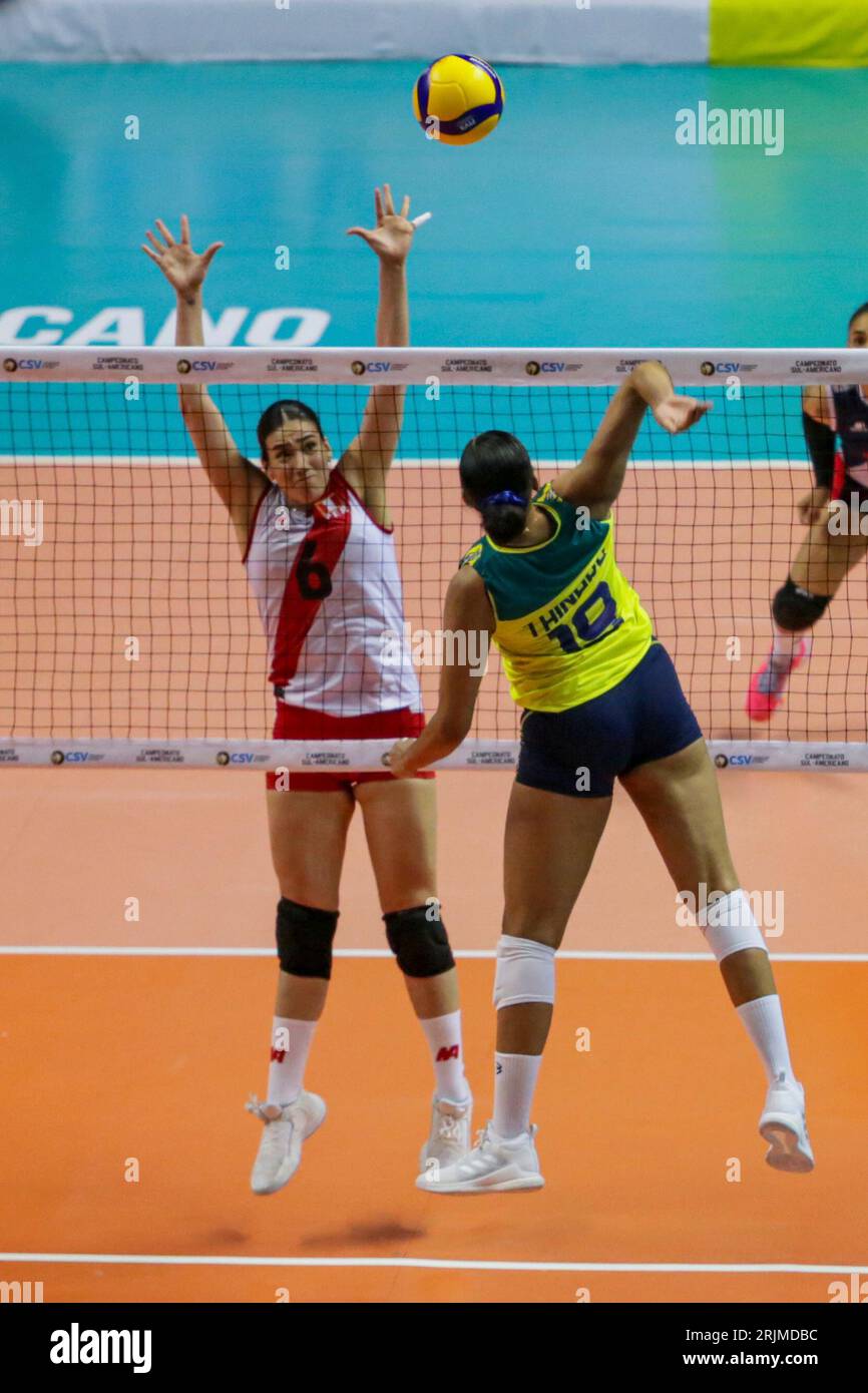 PE - RECIFE - 22/08/2023 - SUL-AMERICAN DE VOLEI FEMININO 2023, BRAZIL ...