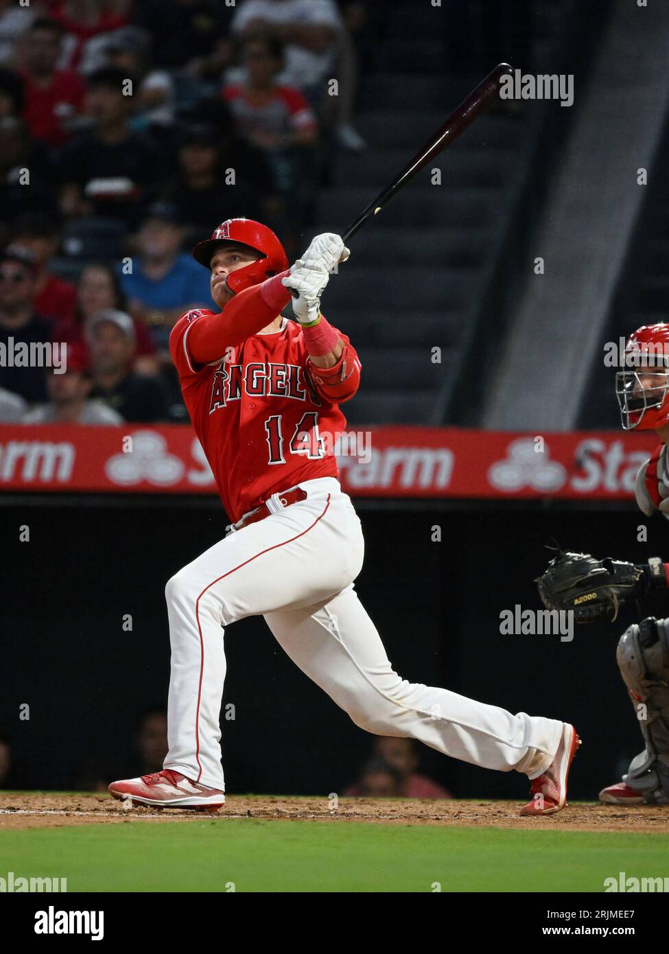 ANAHEIM, CA - AUGUST 22: Los Angeles Angels catcher Logan O'Hoppe (14 ...