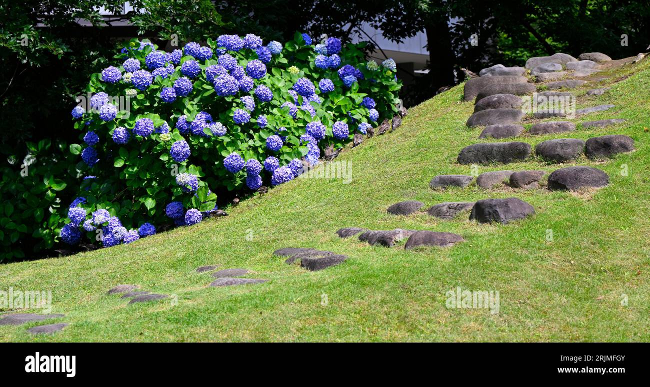 Traditional japanese landscape hi-res stock photography and images - Alamy