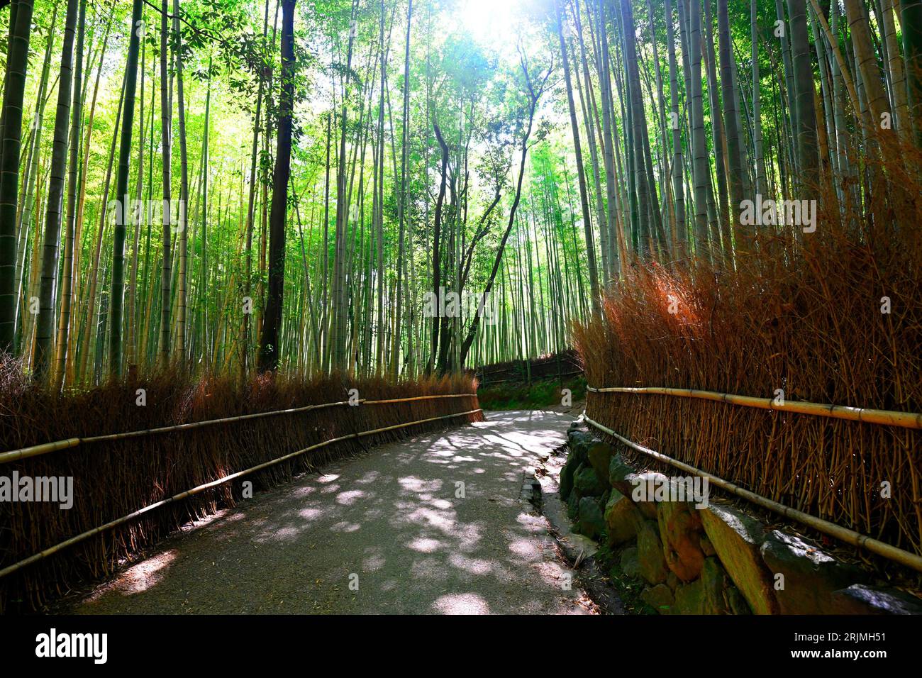 Nature kyoto hi-res stock photography and images - Alamy