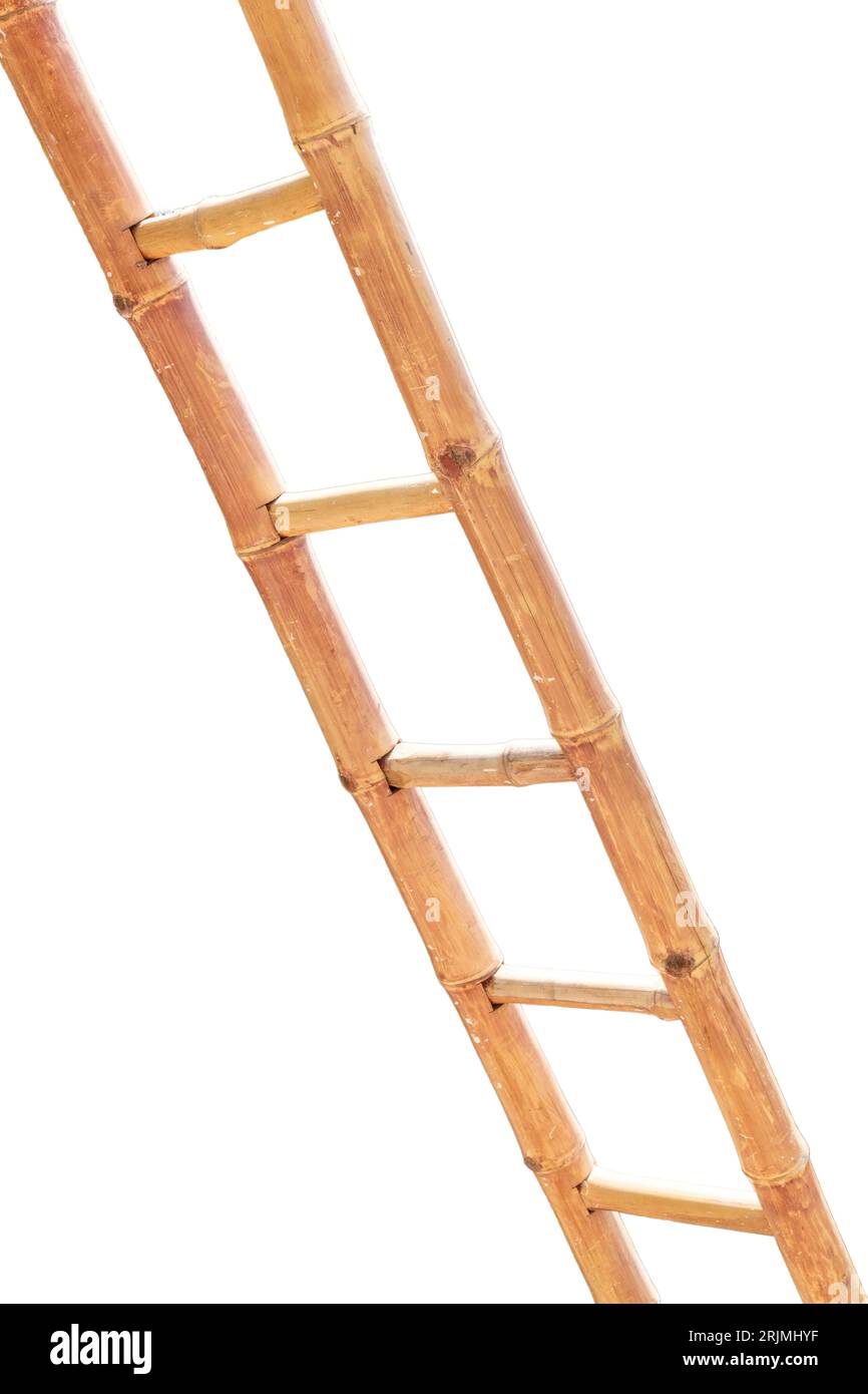 Ladder on white isolated background with blank space for text. Success and motivation concept ...