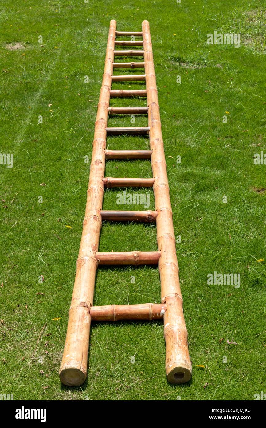 Tall bamboo ladder in the lawn Stock Photo - Alamy