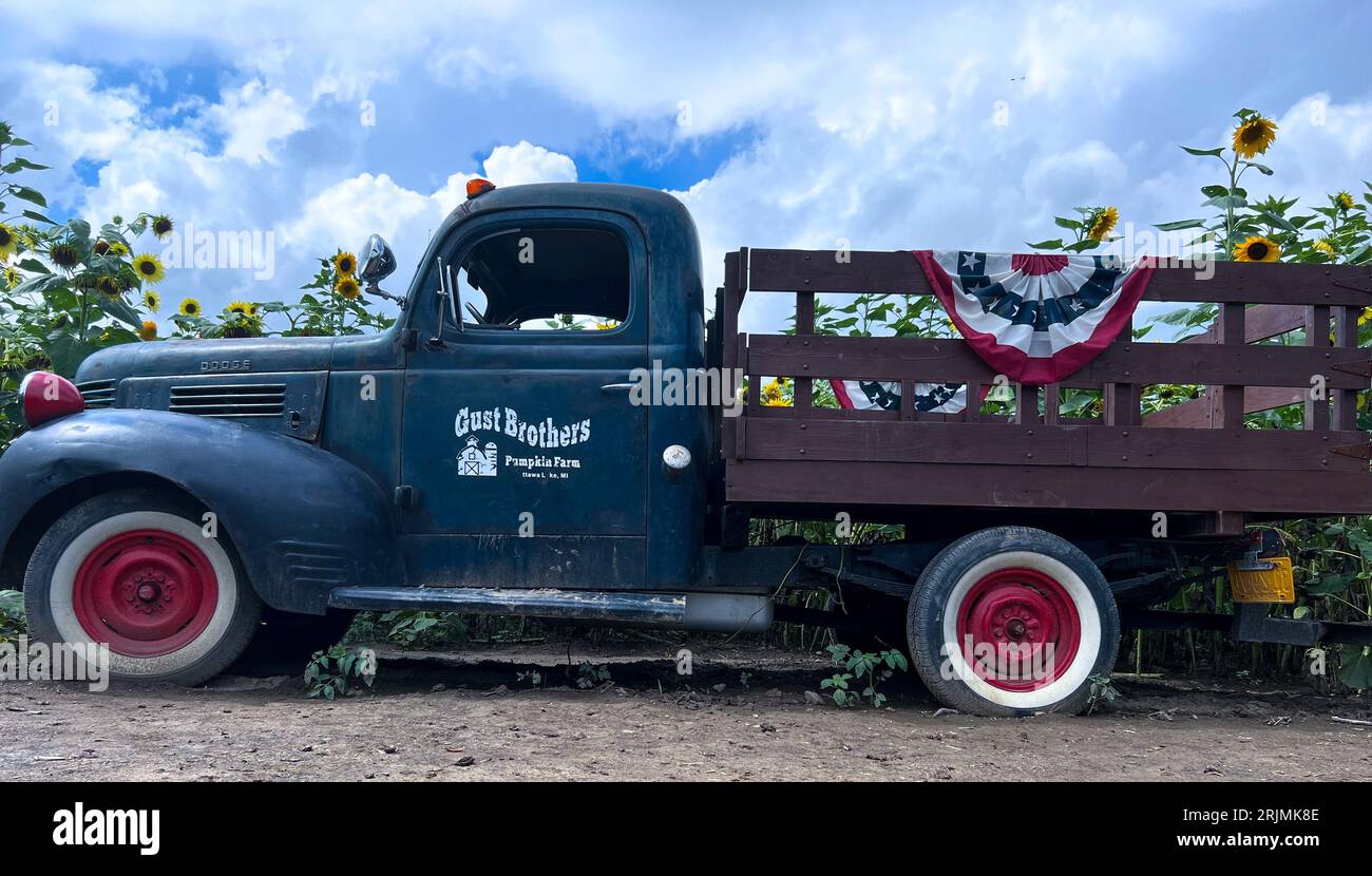 An old pickup truck of Gust Brothers farm parked in a rural setting in ...