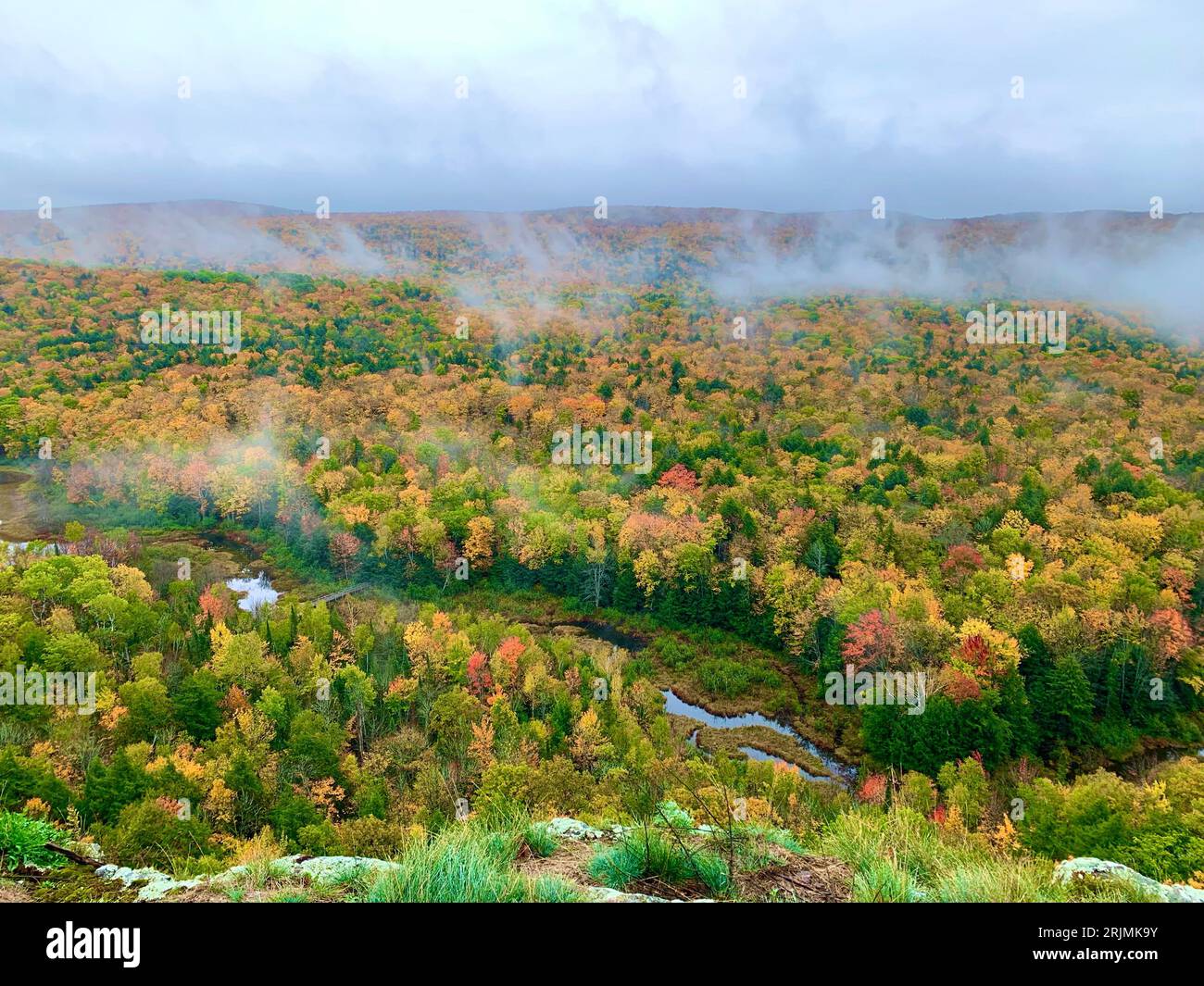 An aerial view of a vibrant hillside landscape featuring a plethora of ...