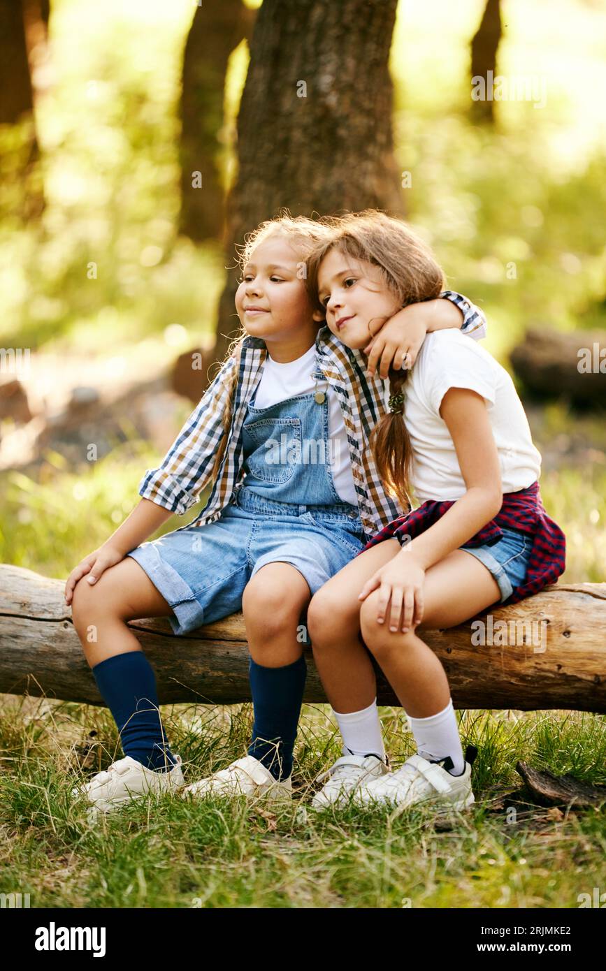 Beautiful, happy children, girls sitting on log, hugging, having good ...
