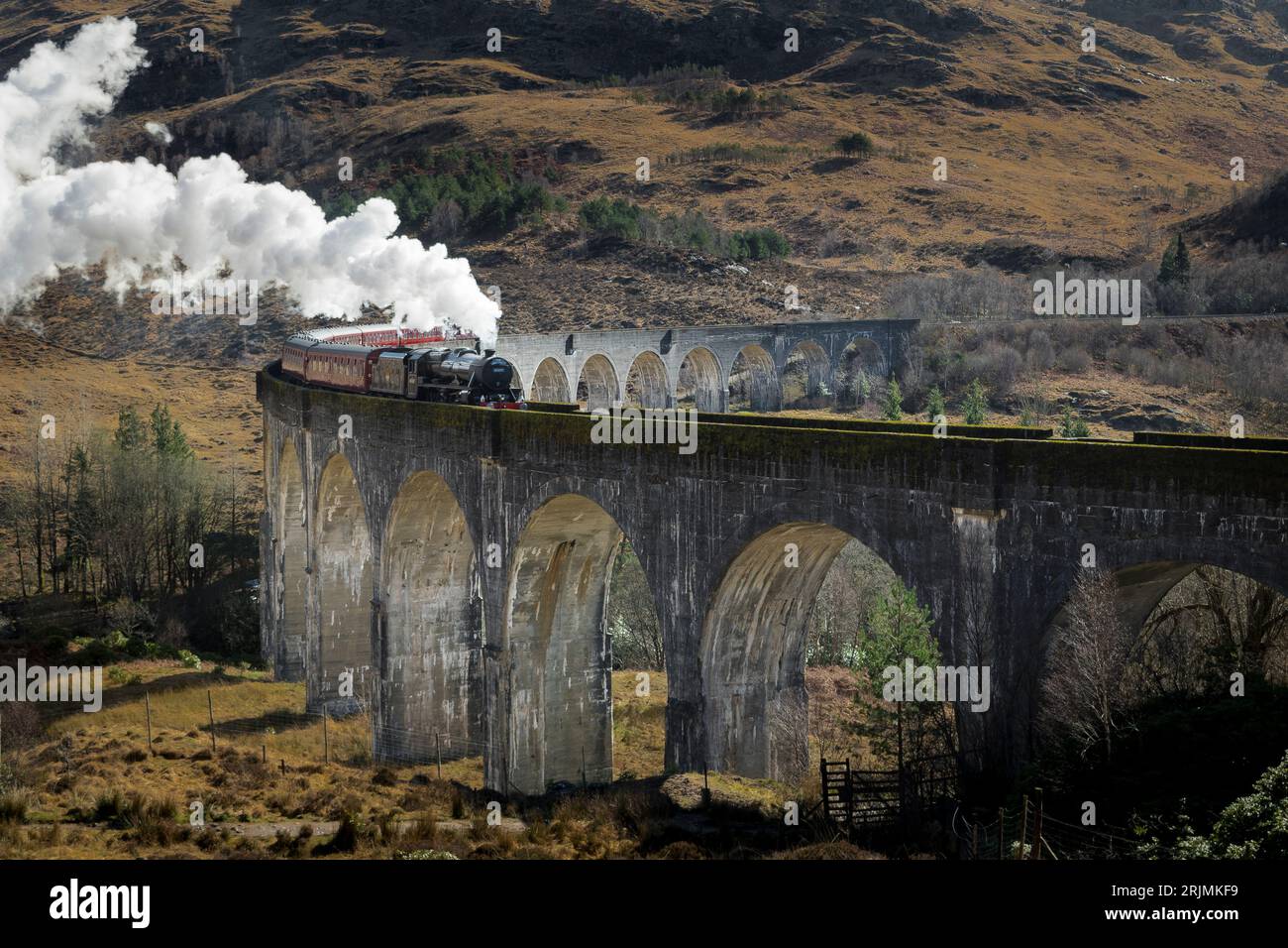 Jacobite steam train travelling across the Glenfinnan viaduct. Area now ...