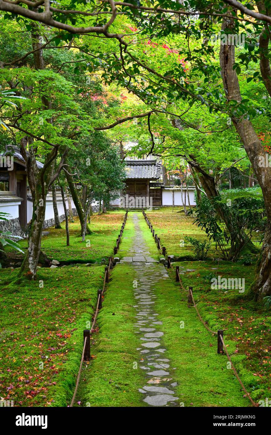Moss temple hi-res stock photography and images - Alamy