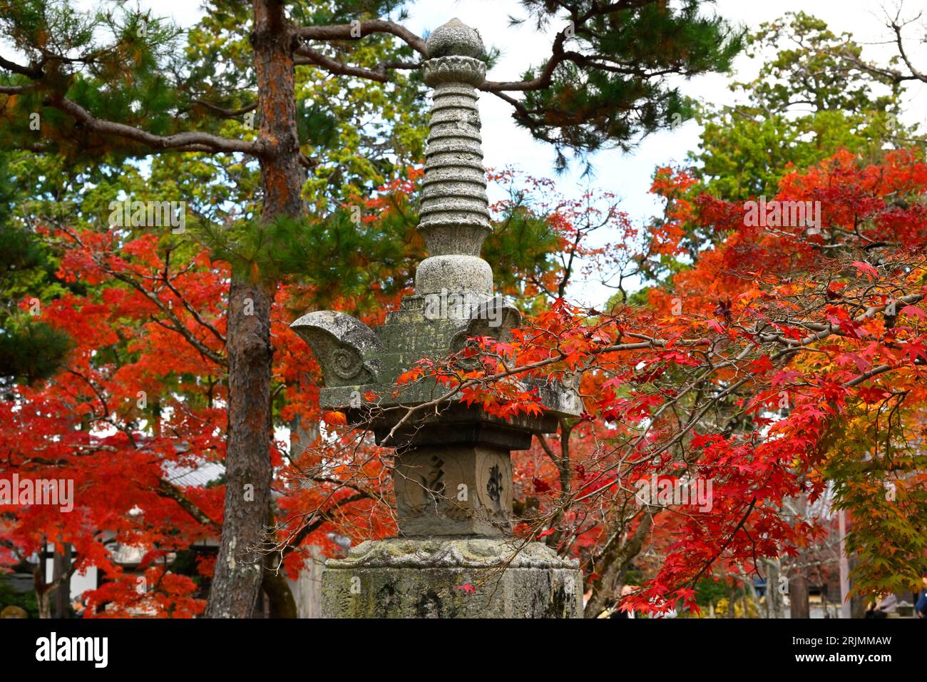Shinnyo do temple hi-res stock photography and images - Alamy