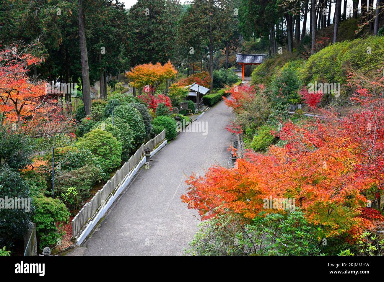 Shinnyo do hi-res stock photography and images - Alamy
